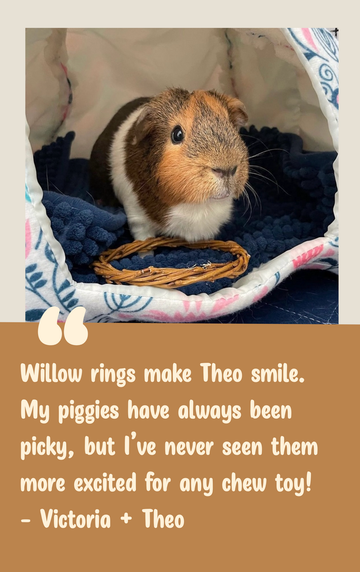 Crazy Critter Toys - Natural and Enriching Products For Small Pets