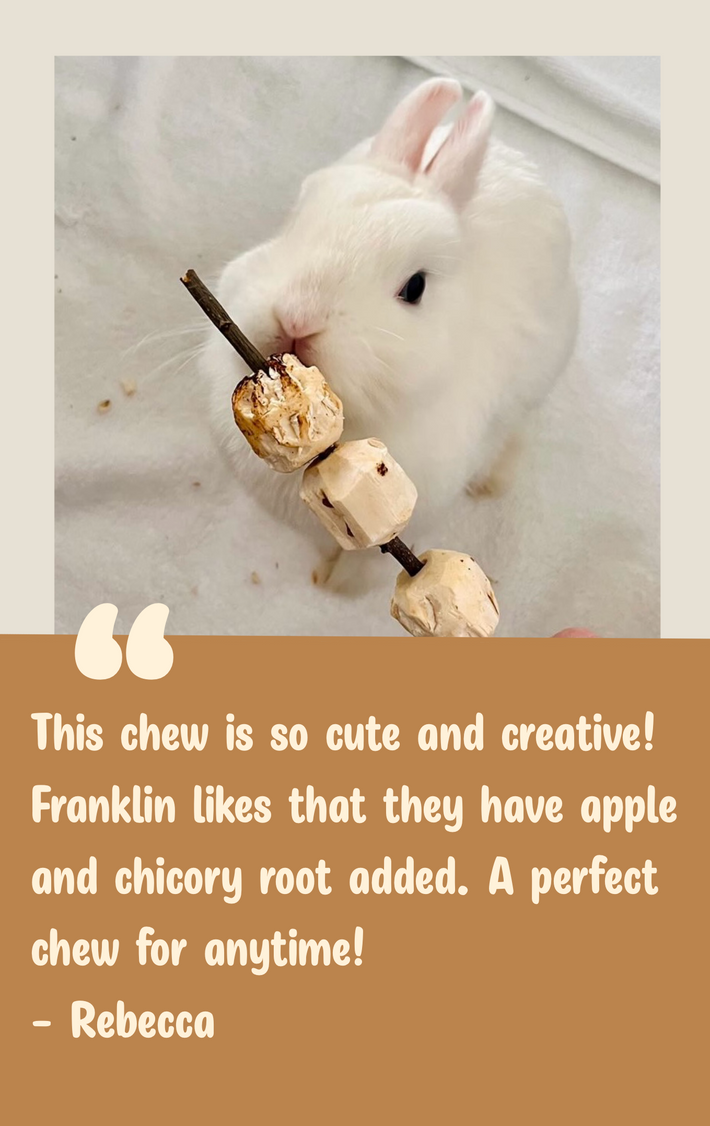 Crazy Critter Toys - Natural and Enriching Products For Small Pets